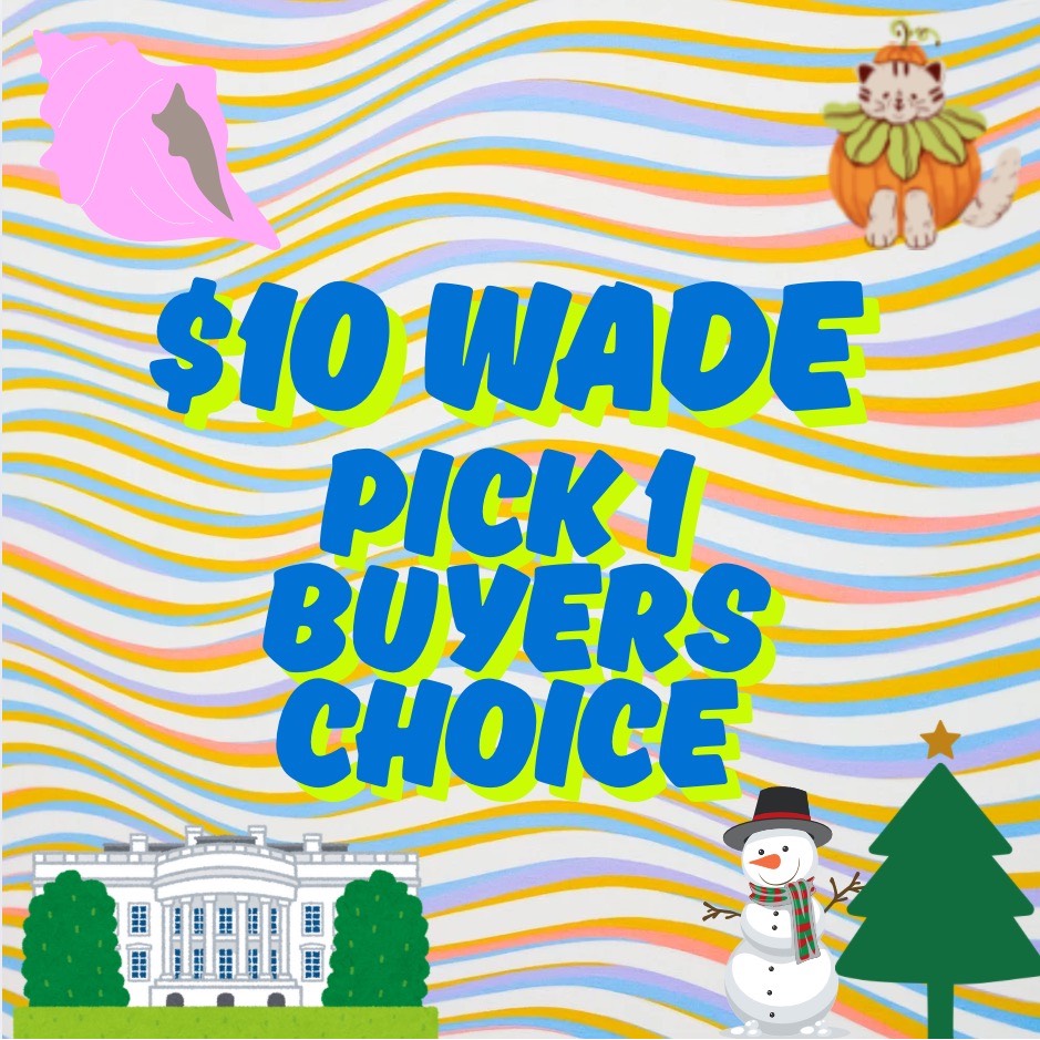 #11 - Wade Figure Pick One