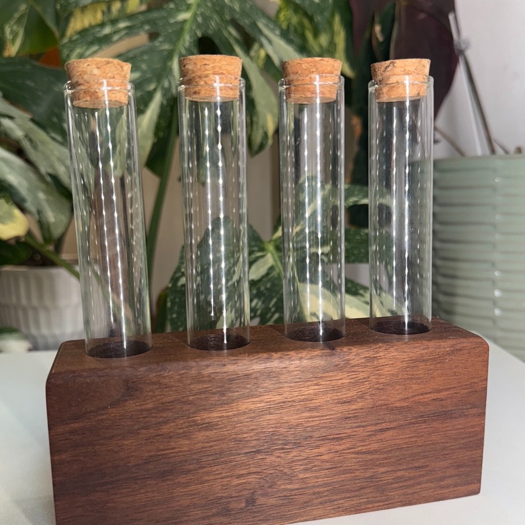 BW8 - Wooden Propagation Station - Black Walnut 6.5”