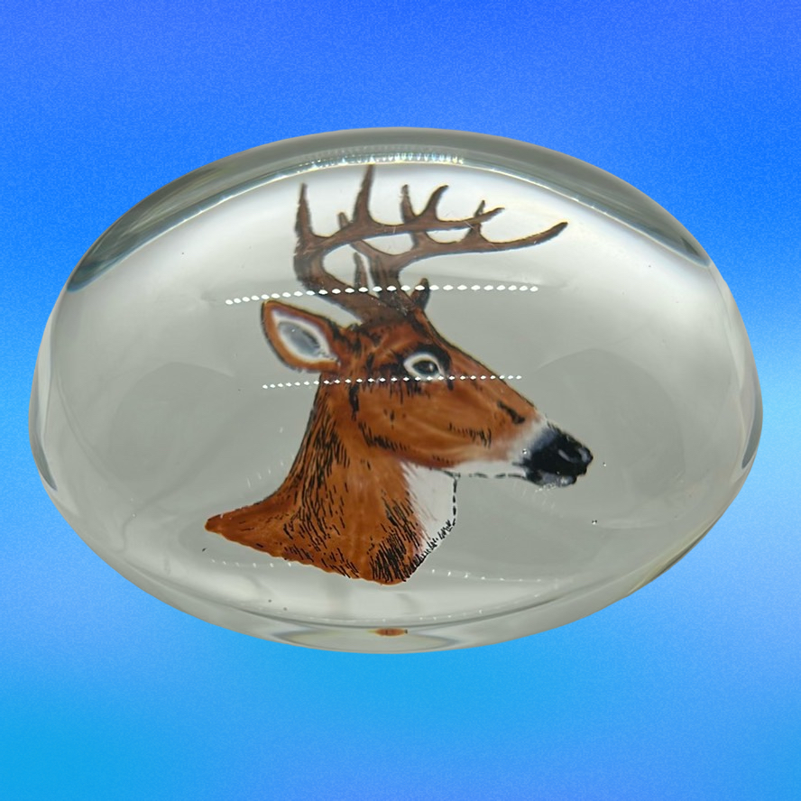 16. Vtg. Glass Paper Weight Buck 4" x 4"