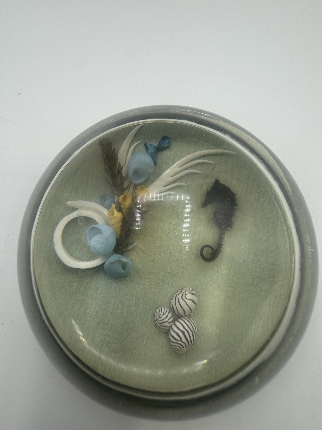 Vintage Shell Paperweight