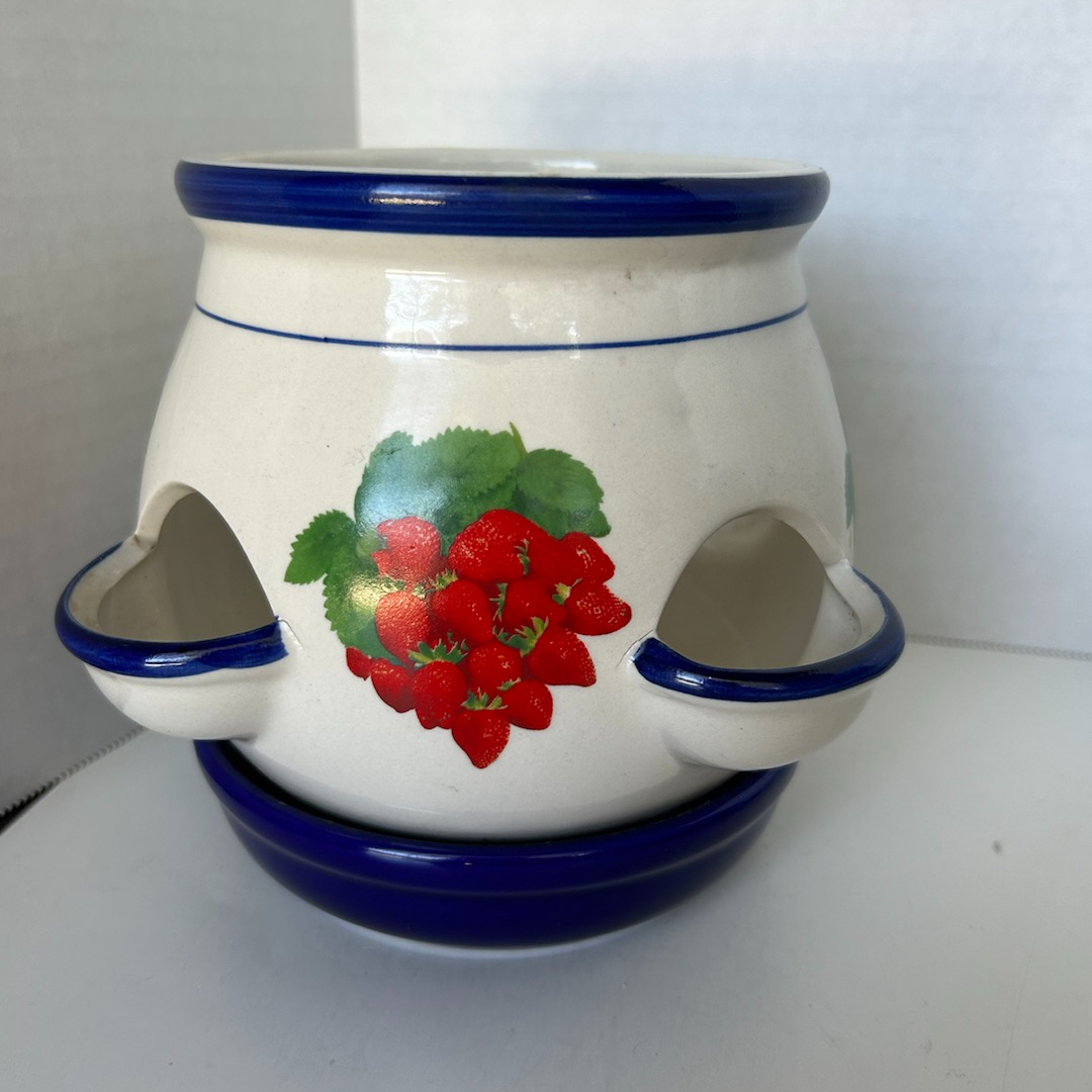 🍓Strawberry Pot