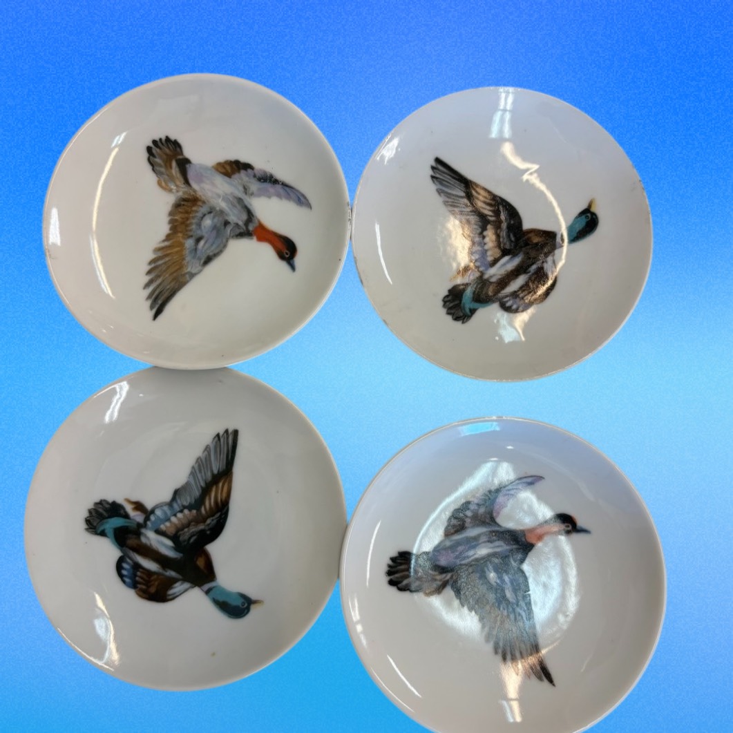 36 Duck Plates