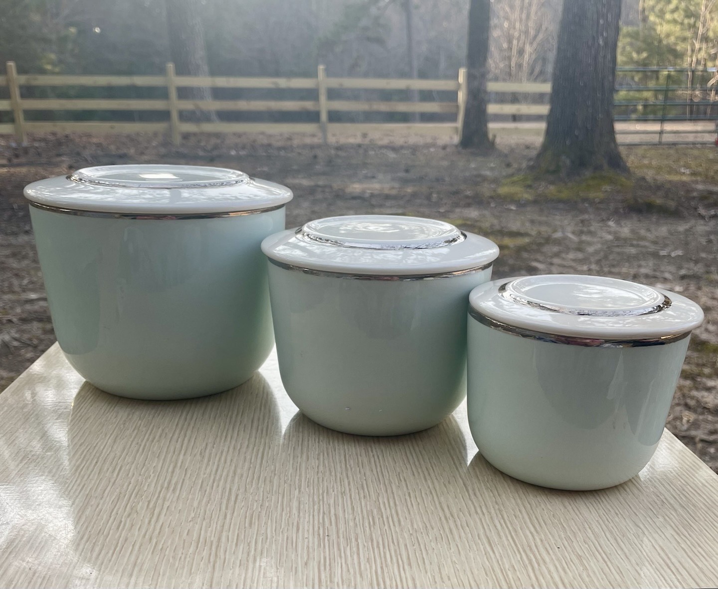 Universal Pottery Ballerina Platinum Rim Mist Refrigerator Dish Set of ...