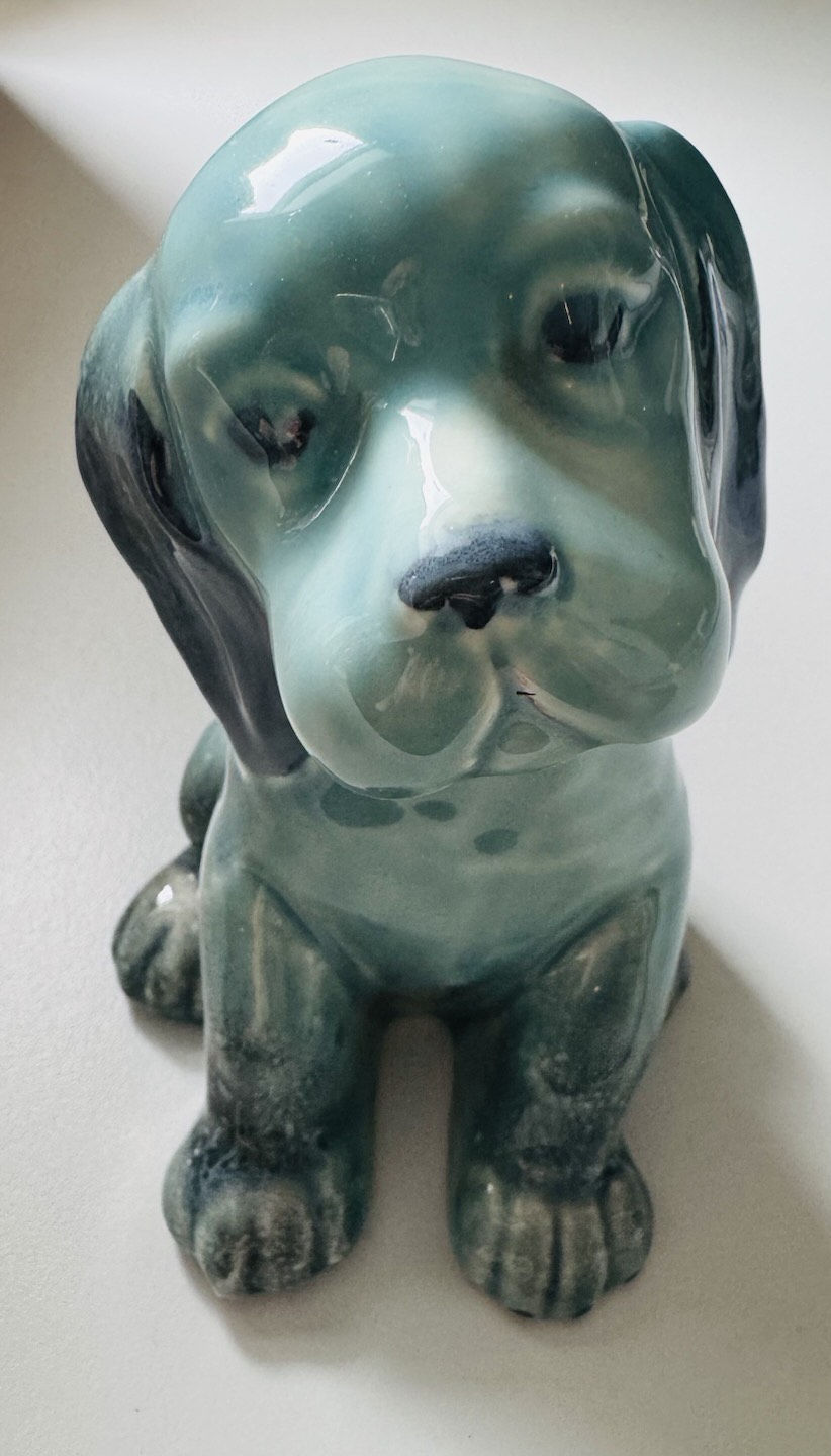 Sad Turquoise Puppy! Ombré Coloured From Turquoise To Darker Blue ...