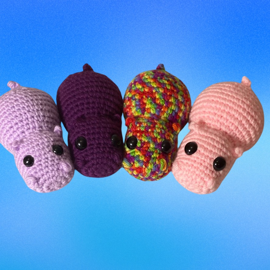 #03 - Hippo Crochet Pick 1
