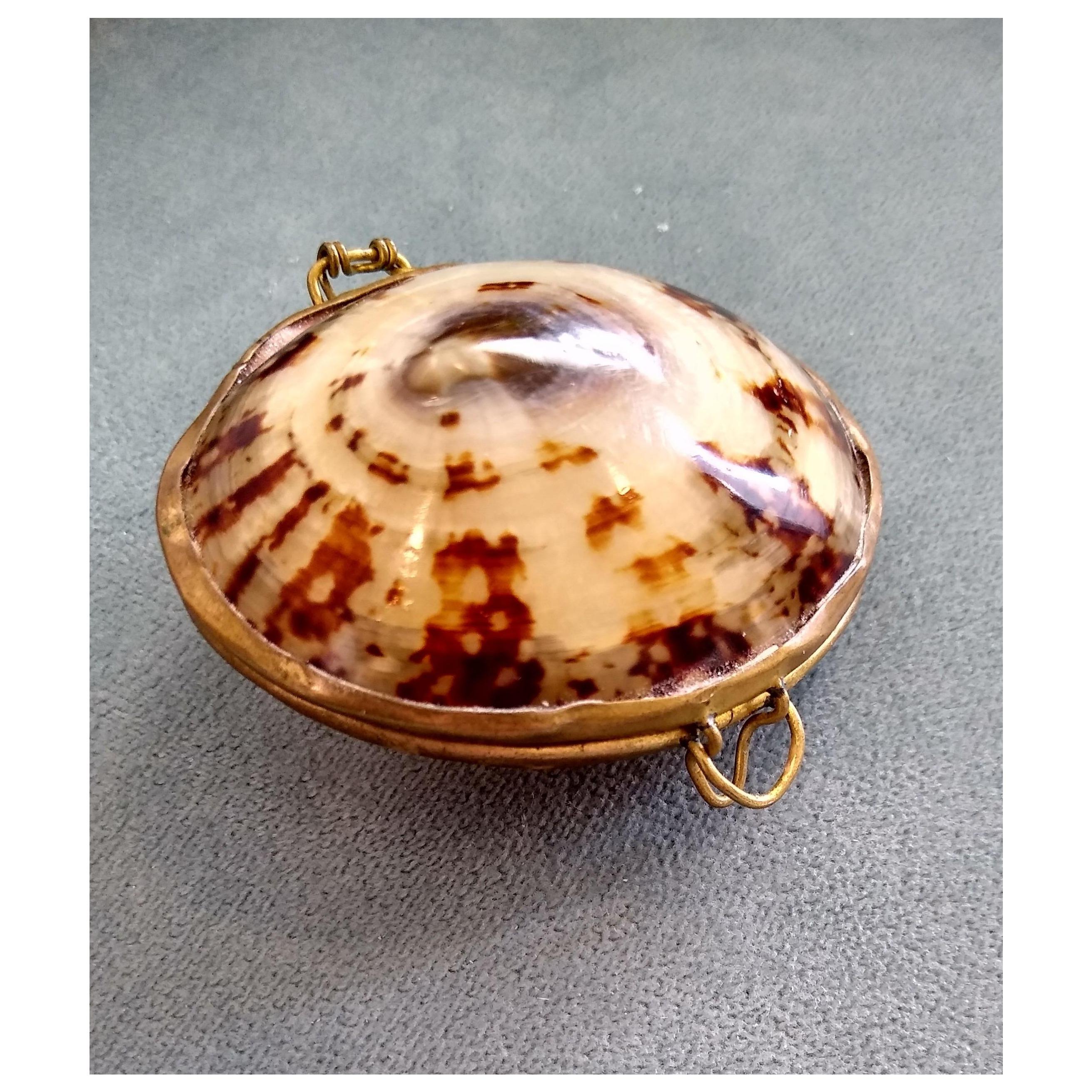 Vtg Seashell Trinket Box