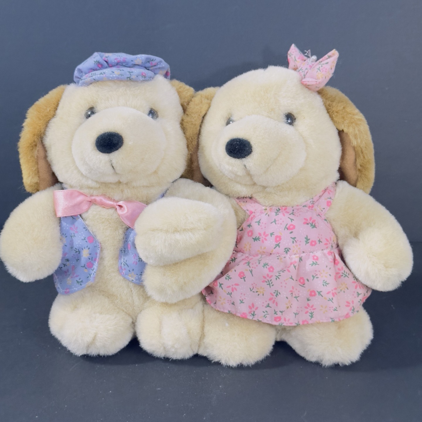#1262 Conjoined Twin Bears, Plushy Boy & Girl Dog Animal Toy Dressed ...