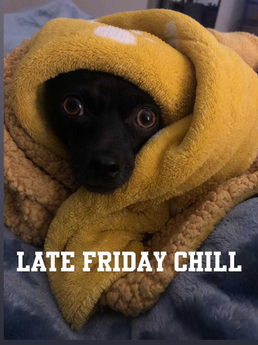 Friday Late Night Chill