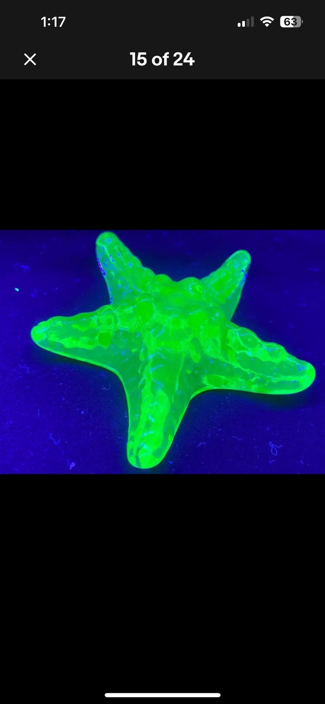 Glow Glass Starfish