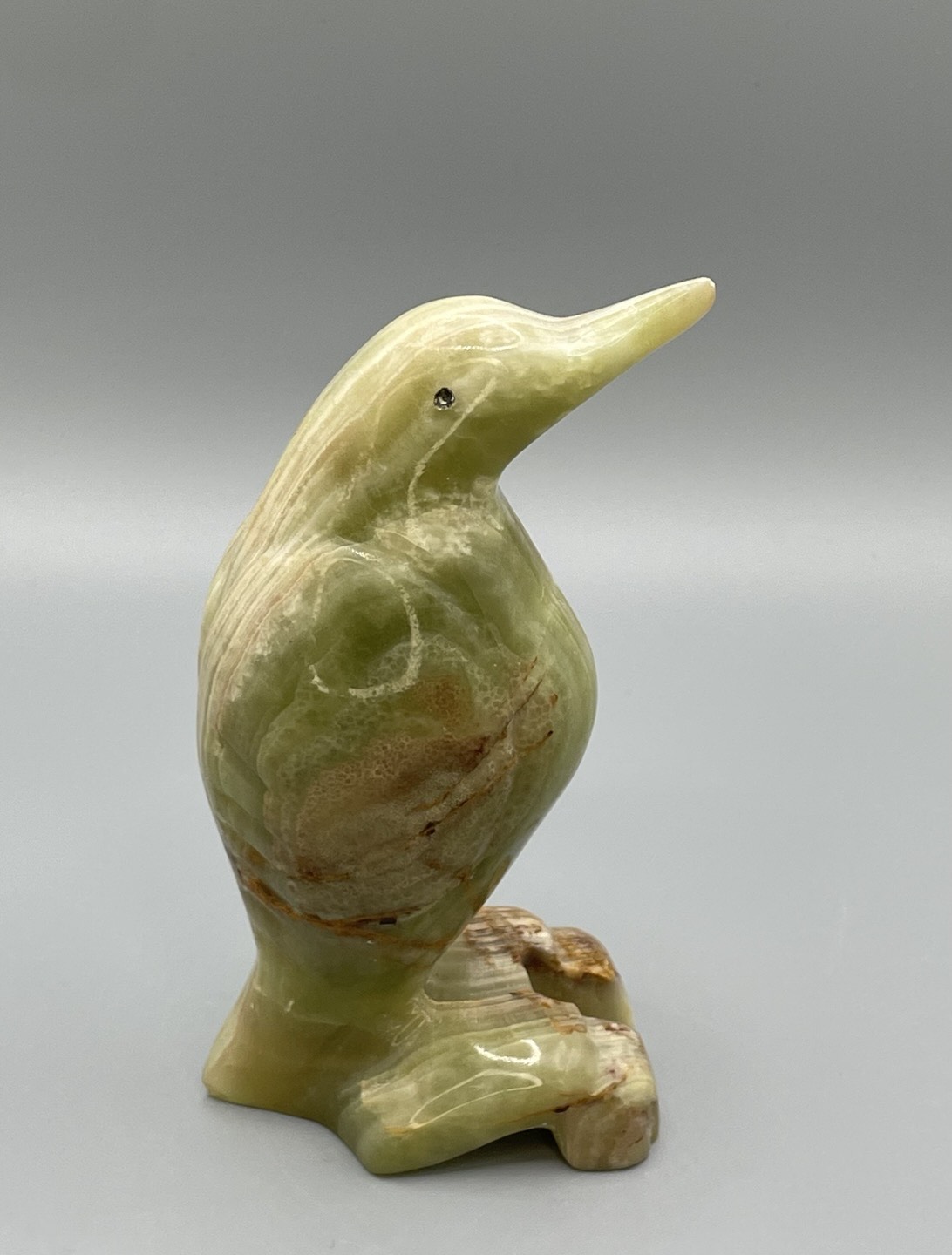 Onyx Bird