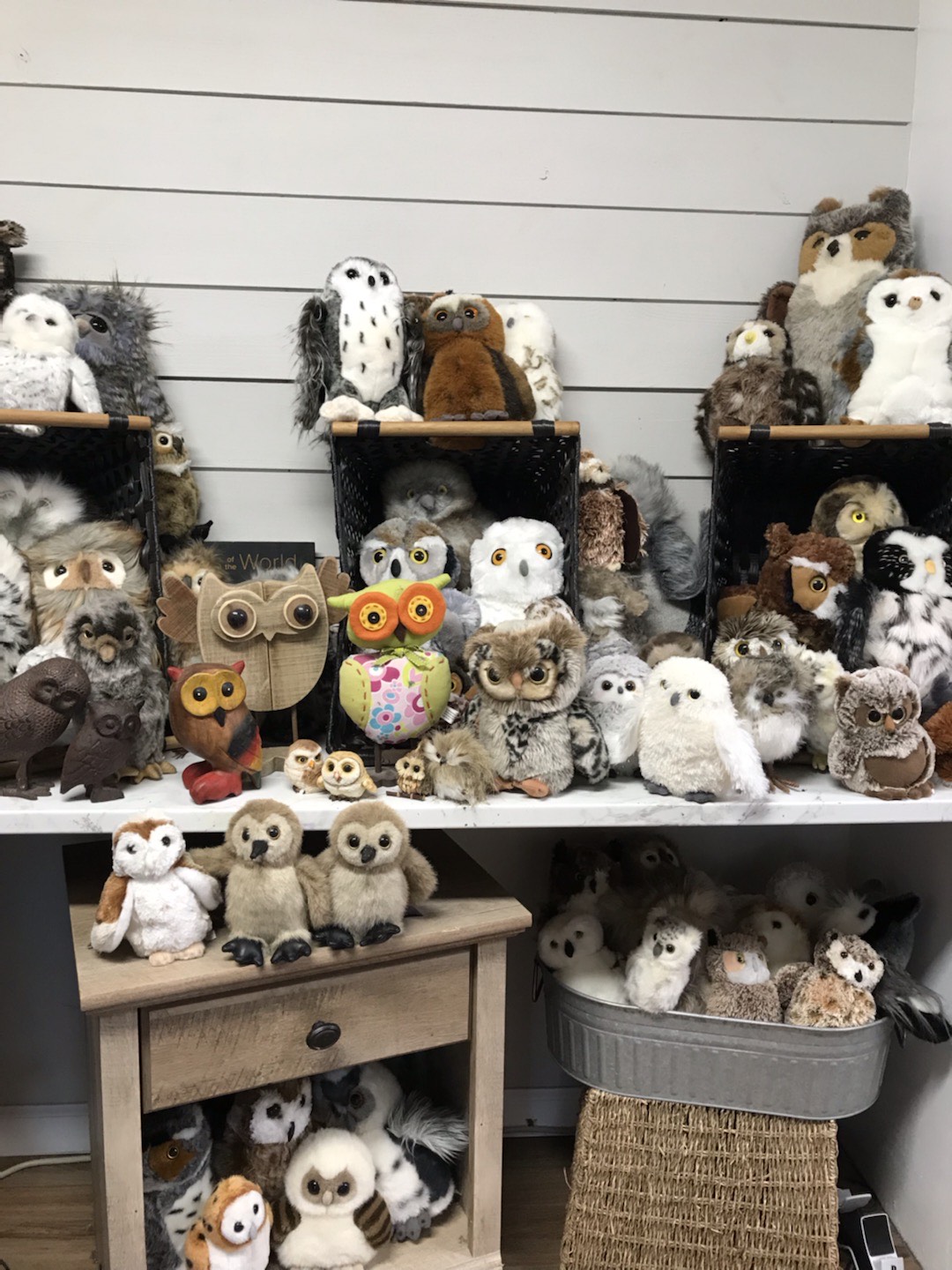 Commonwealth Picker Live Sale Raid Train