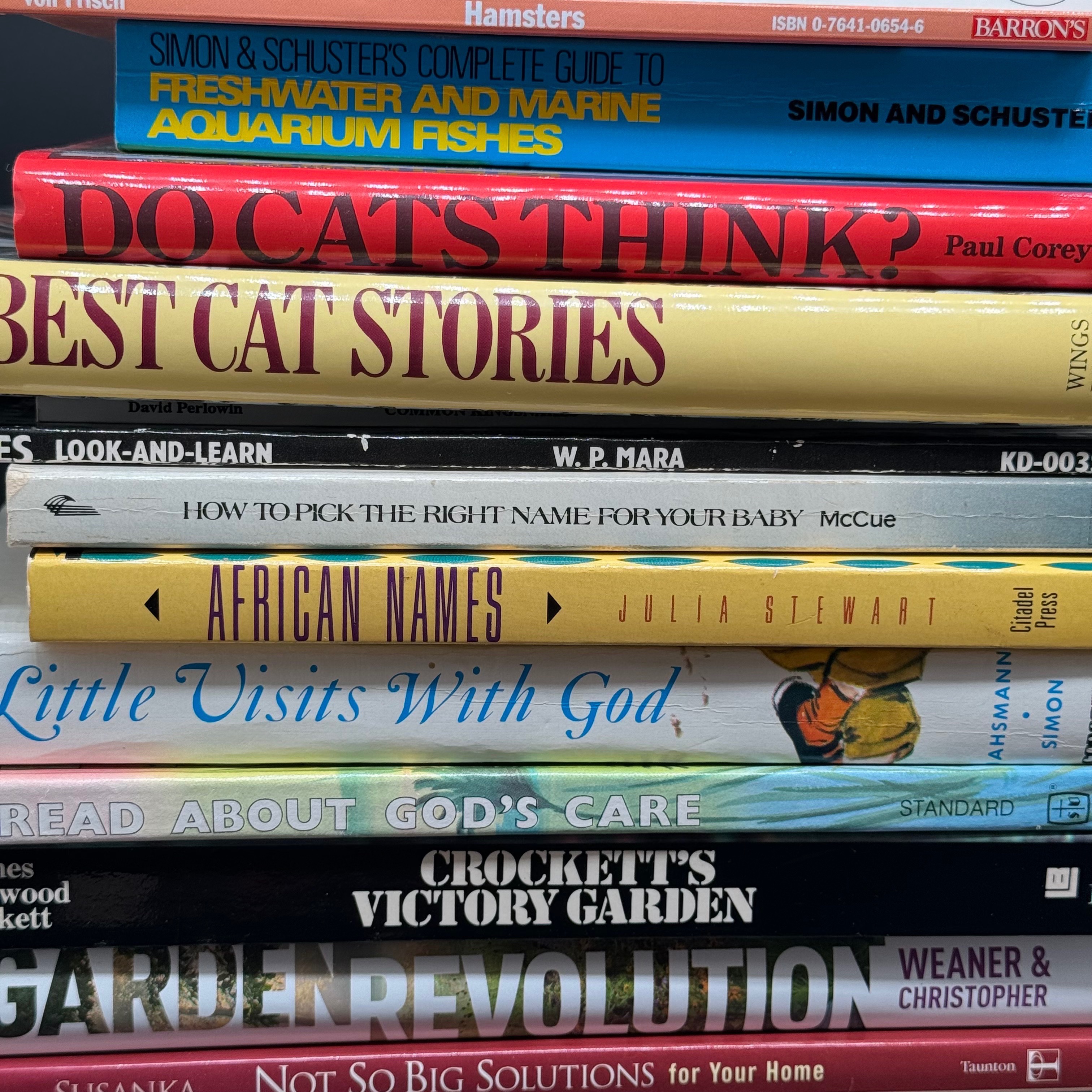 007. BOOKS FOR SUMMER Remembering! VINTAGE Plus!!
