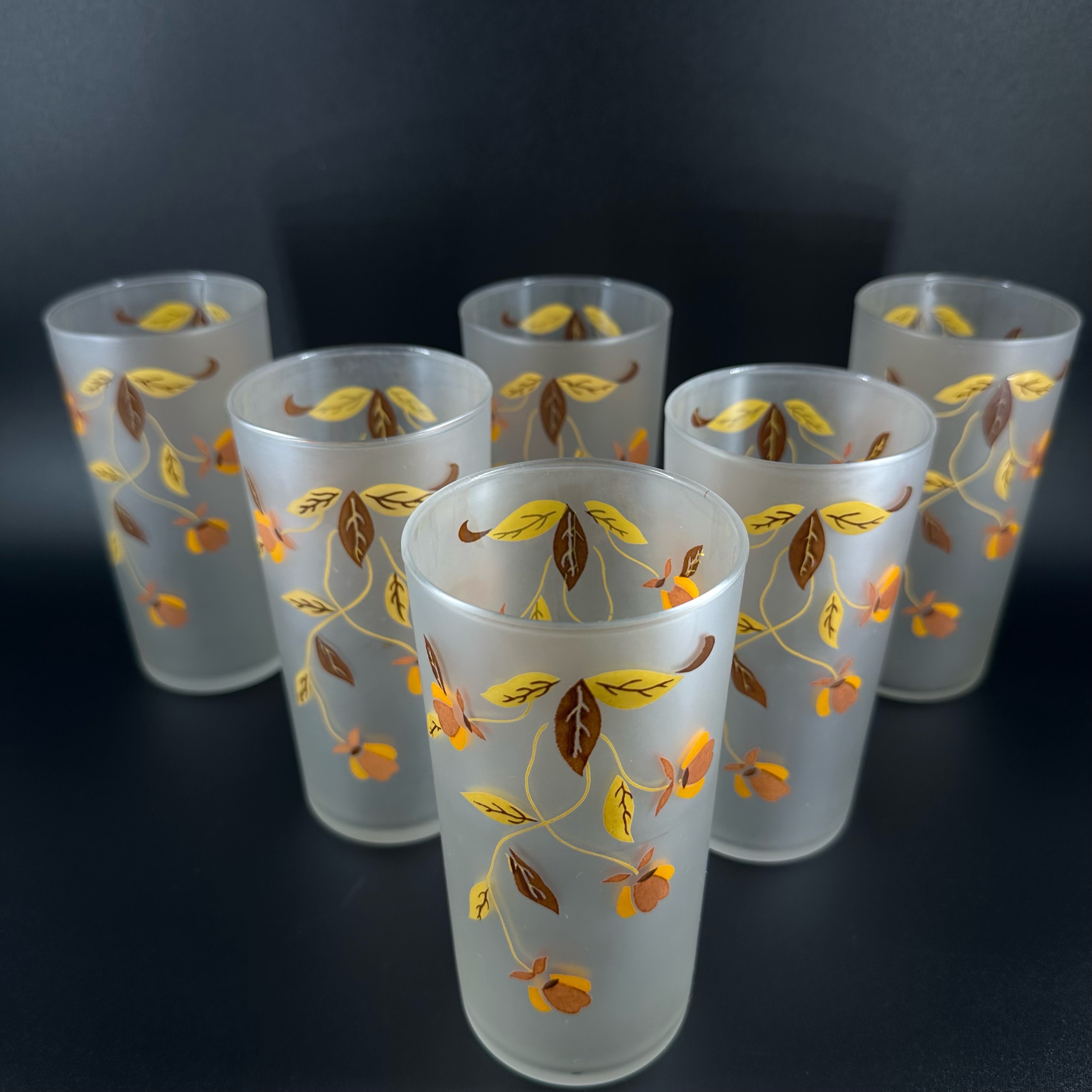 Jewel Tea Autumn Leaf Set 6 Frosted Glasses