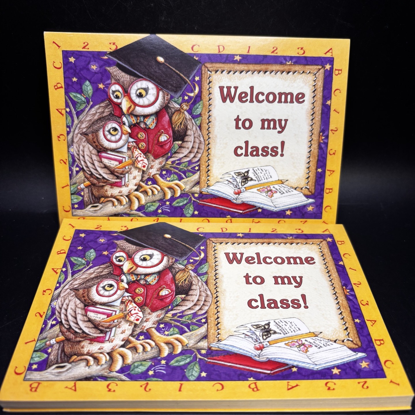 Mary Engelbreit Teacher Owl Welcome To My Classroom Postcards