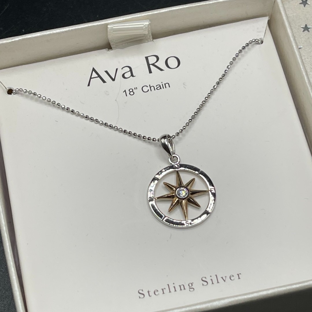 19 - Sterling Silver Ava Ro 18" compass Necklace