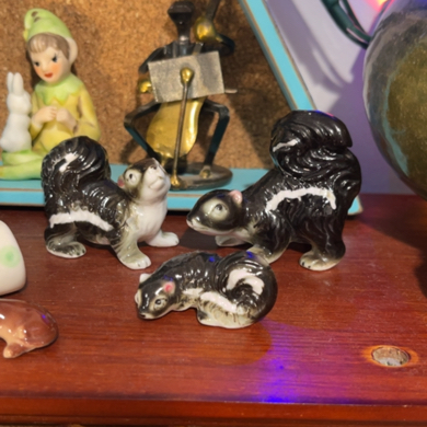 Family Of Skunks 🦨