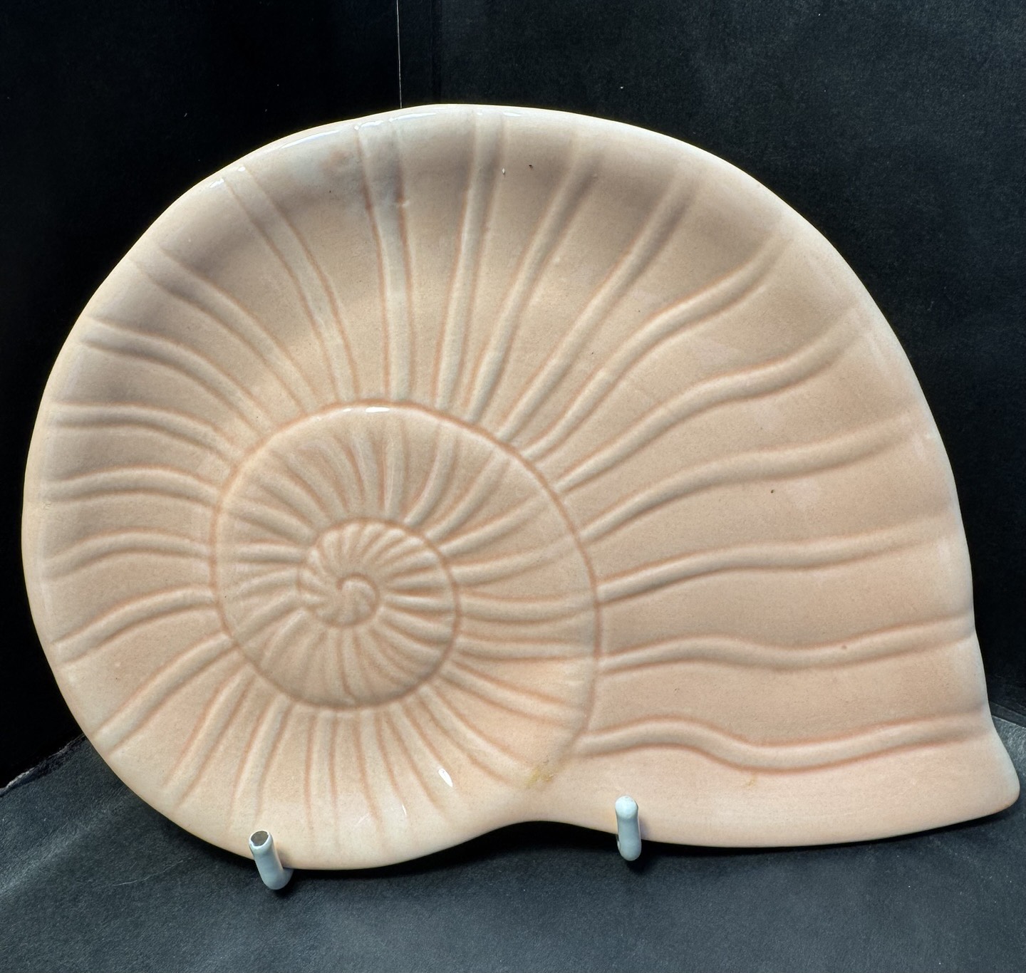 Shell Shaped Plate
