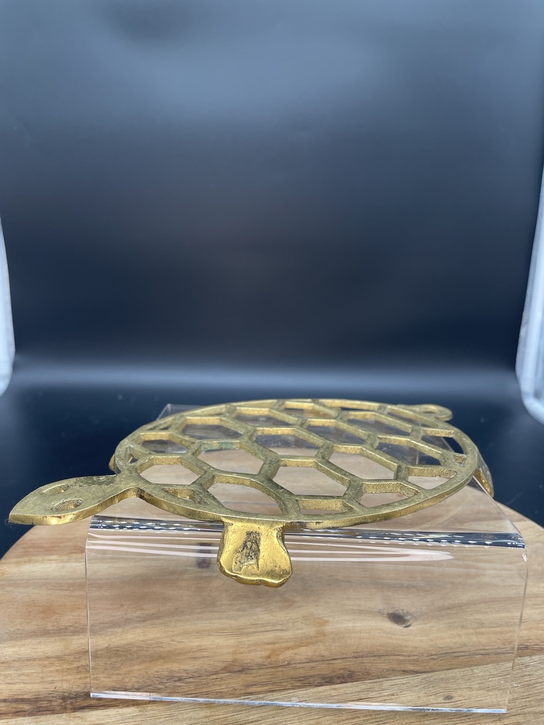 Brass turtle trivet