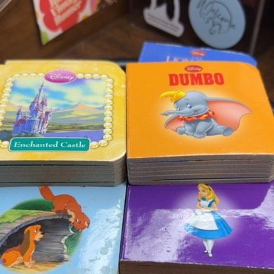 12 Mini Cardboard Books