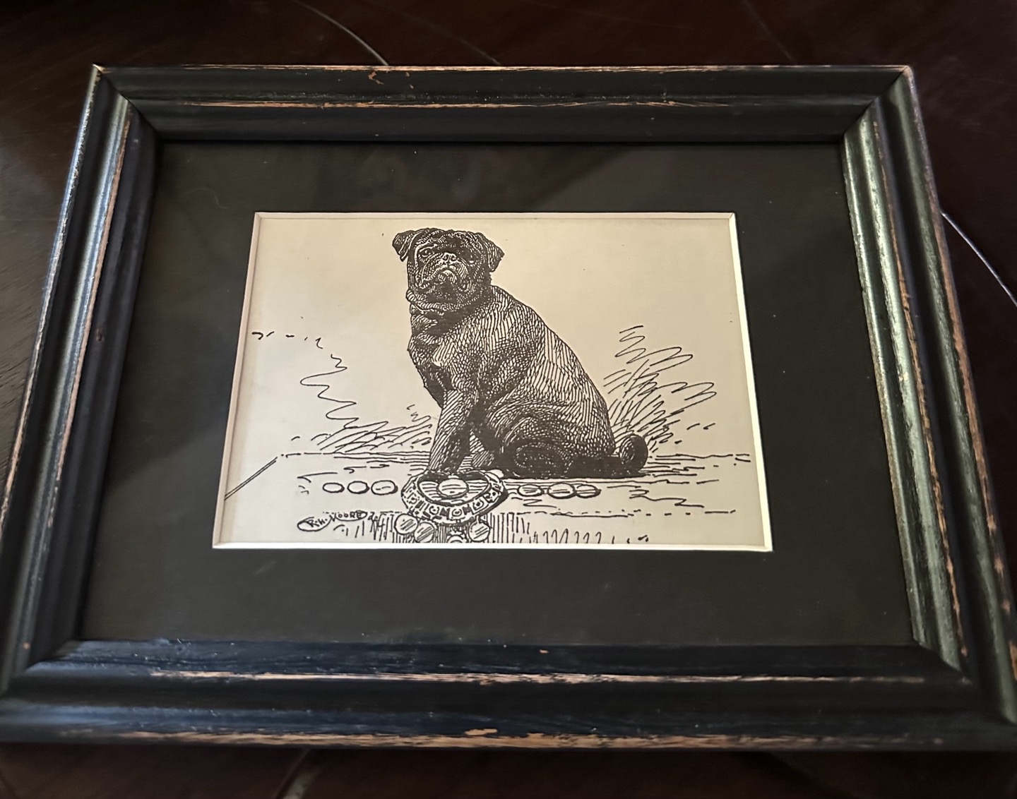 Antique Pug Ink Drawing in Black Wood Frame Signed England 1909 Wardell 8x6