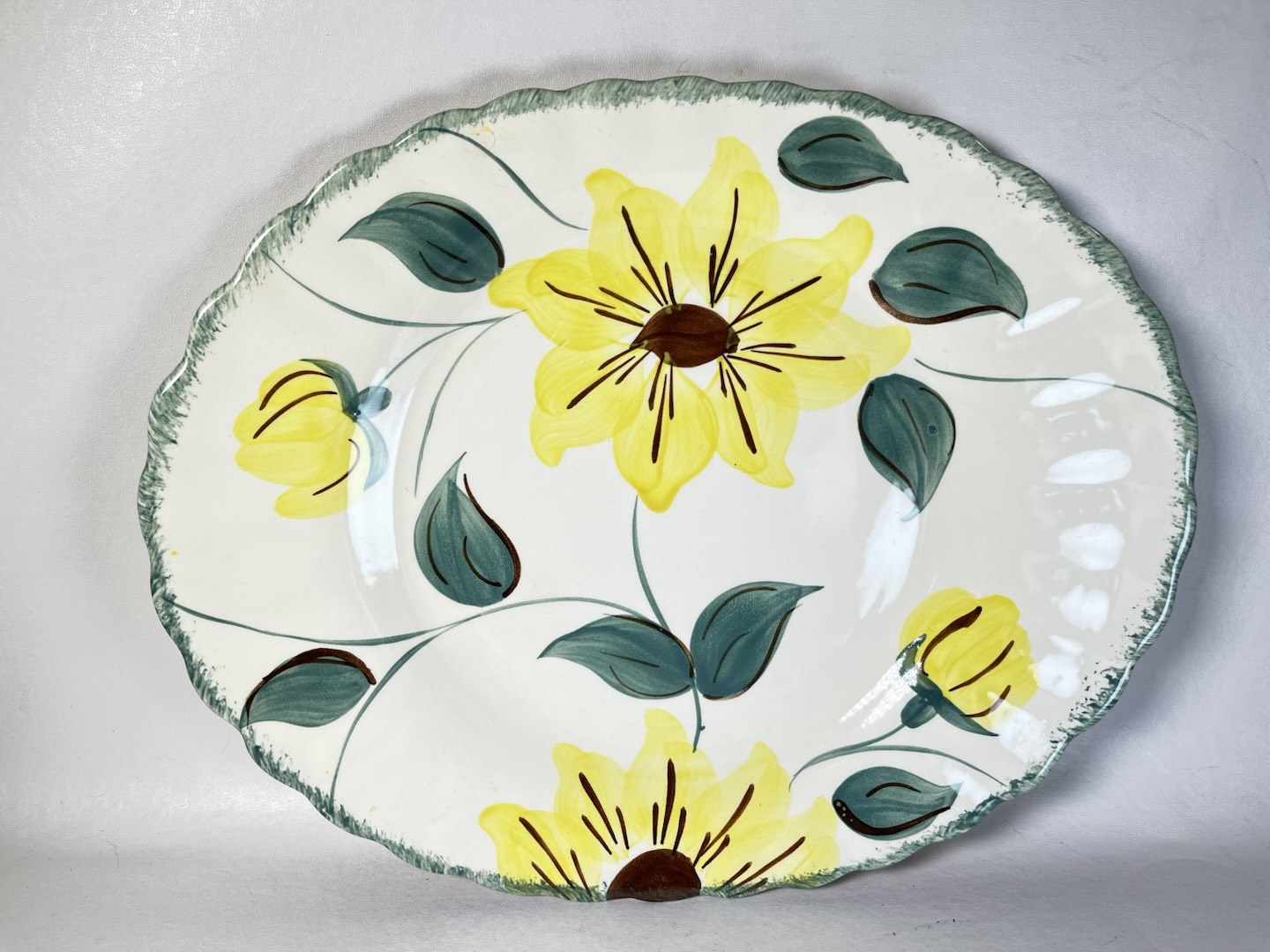 Blue Ridge Southern Pottery Yellow Nocturne 11" Oval Serving Platter ...