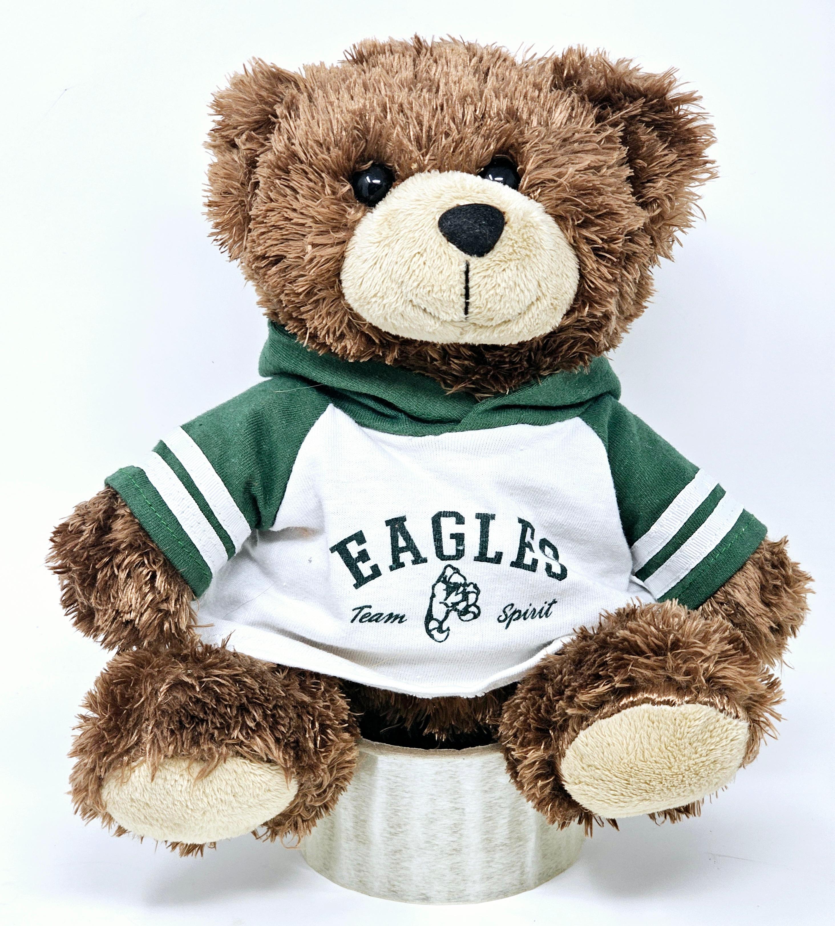 Philadelphia Eagles NFL Plush Bear with Hoodie My Town Kids VG ...