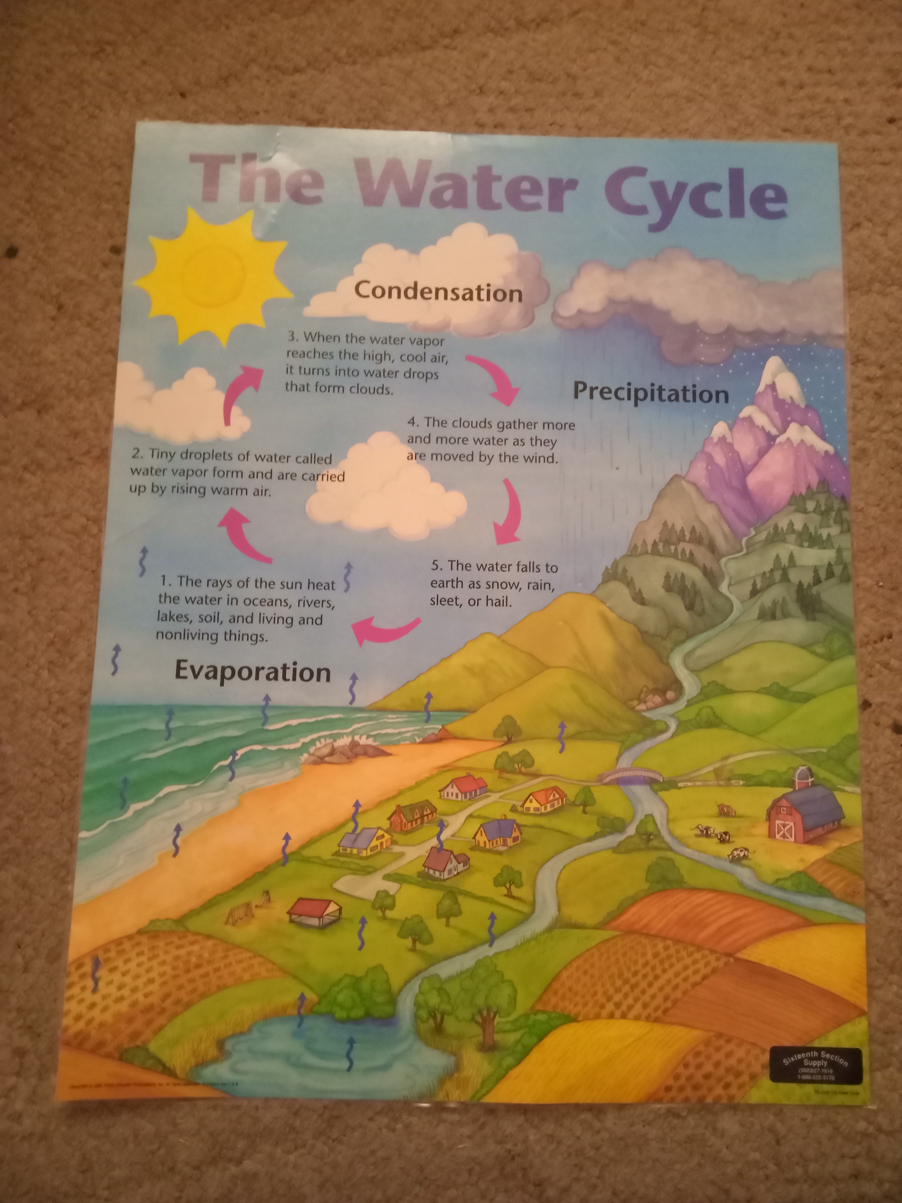 The Water cycle educational poster.