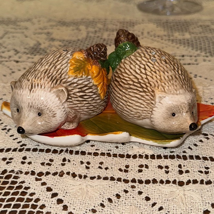 Cute Hedgehogs On Leaf Spoonrest Salt & Pepper Set
