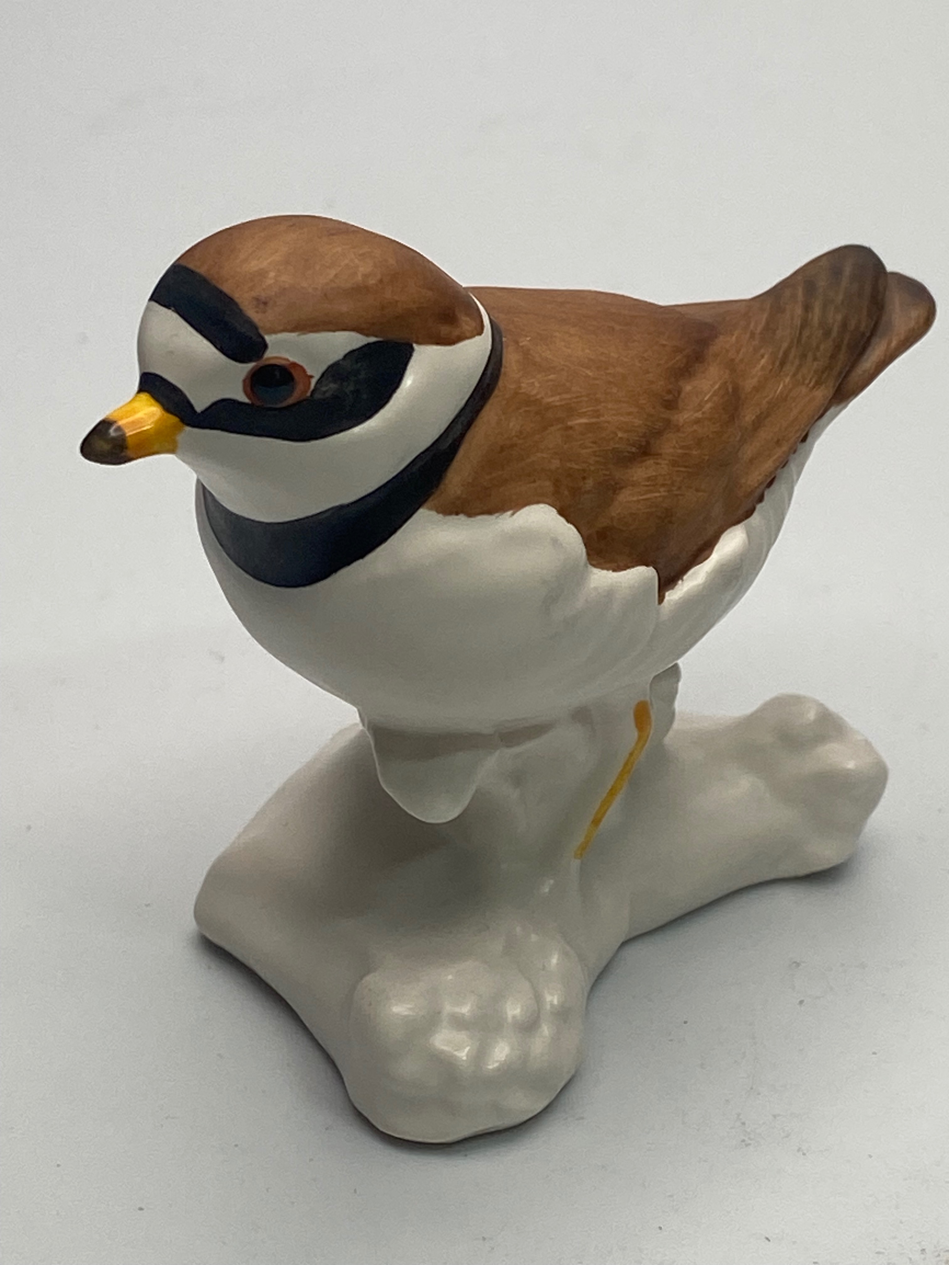 Goebel Ringed Plover