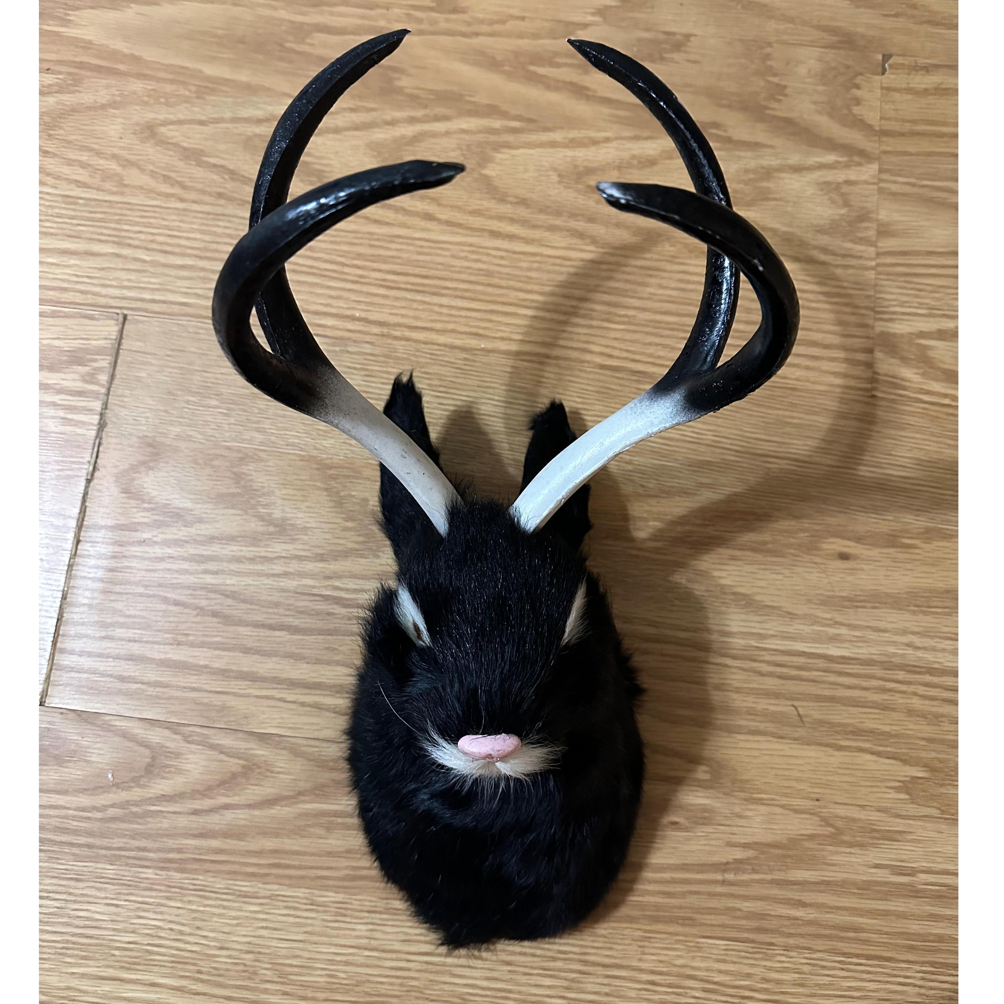Vintage Handmade Black White Jackalope Faux Animal Rabbit Weird Art ...