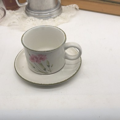 Carnation Tea Cup And Saucer