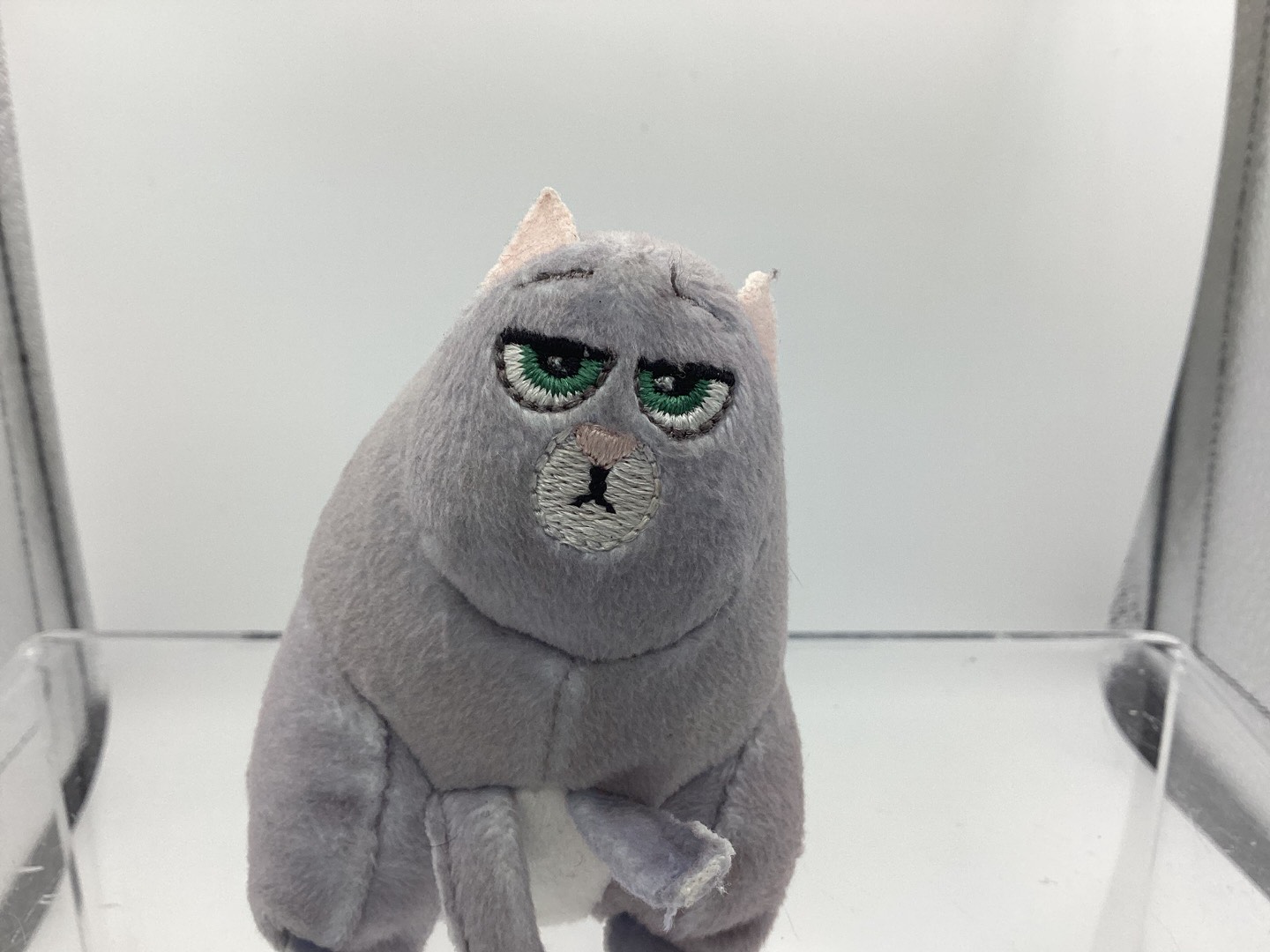 Secret Life of Pets Grumpy Cat