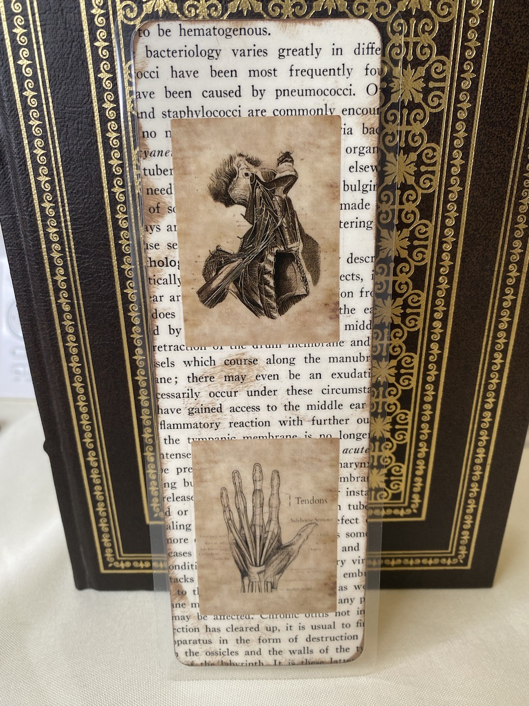 Halloween Spooky Medical Bookmark: By The Neck