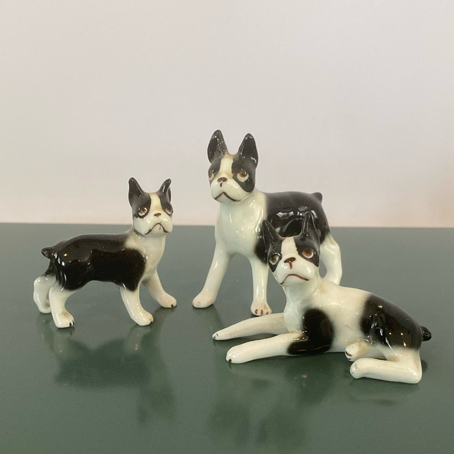 12 Boston Terrier Figurine Set