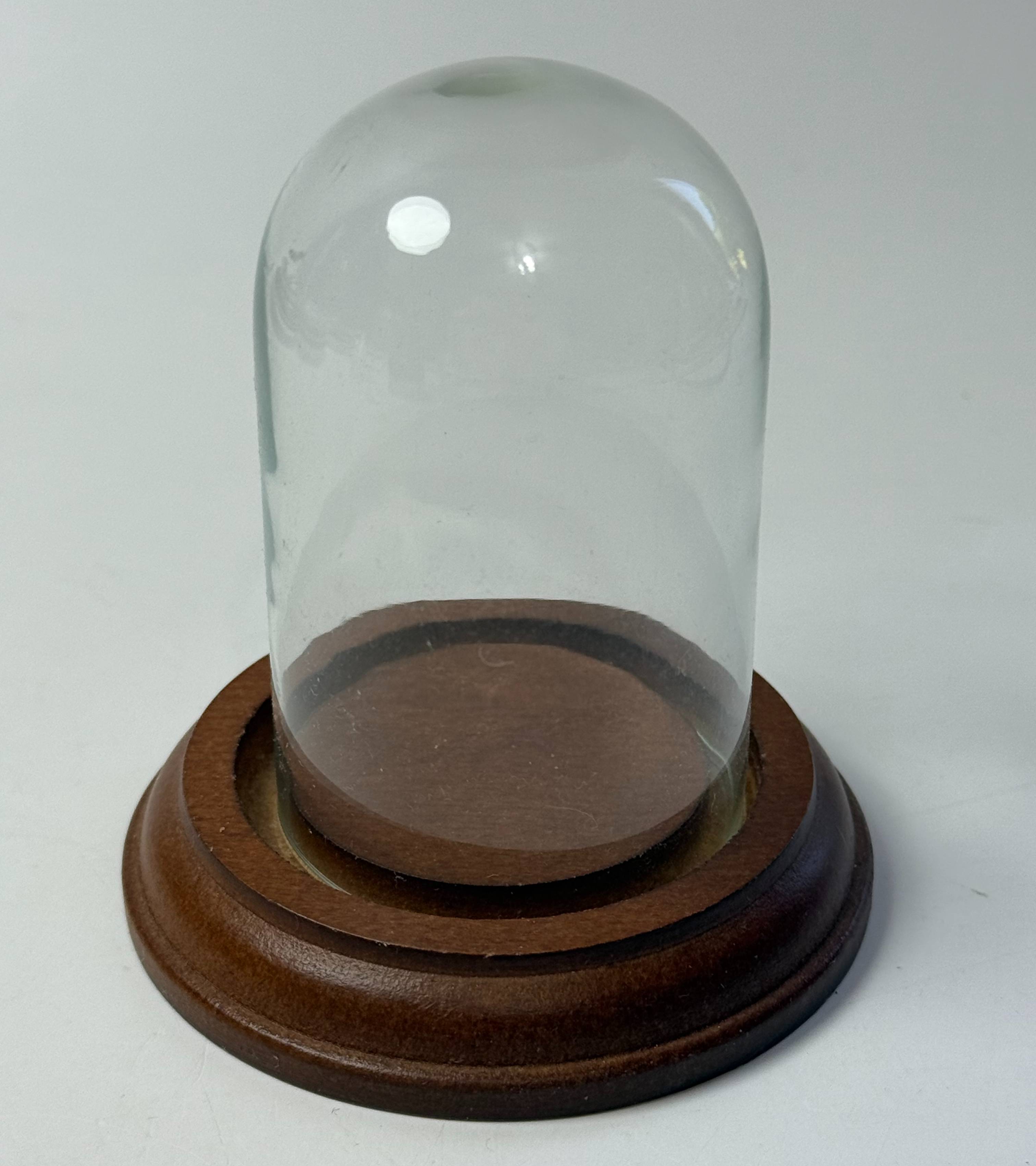 Miniature Clear Glass Cloche w/ Wooden Base Display Stand