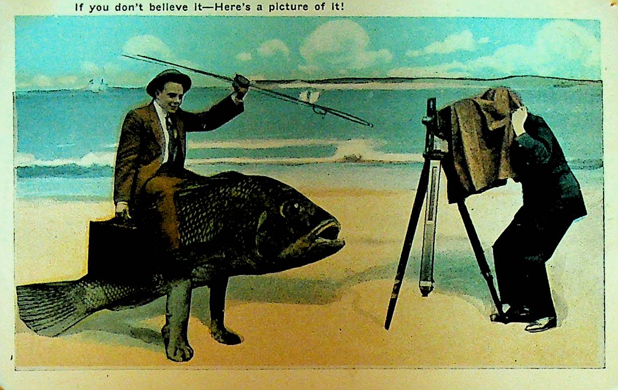 You Won't Believe It Exaggeration Postcard Fish With Legs