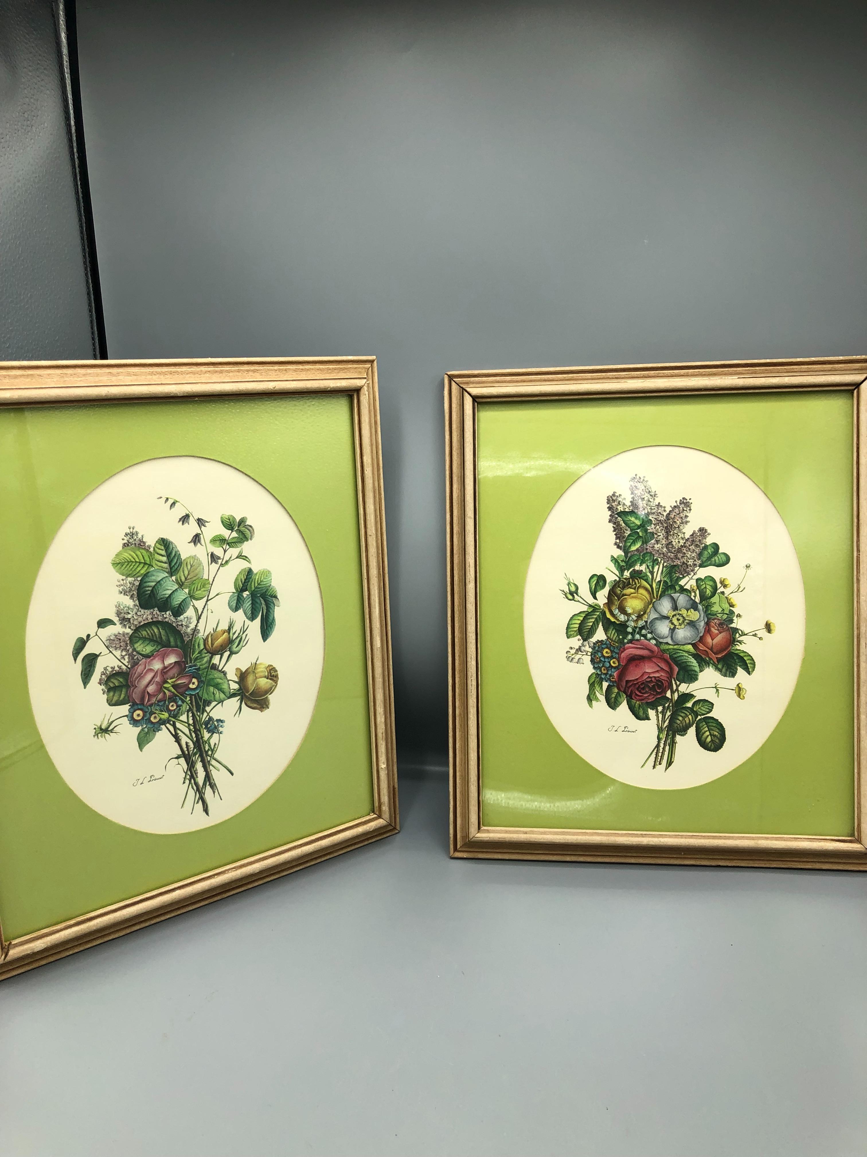 Jean Louis Provost pair of botanical prints