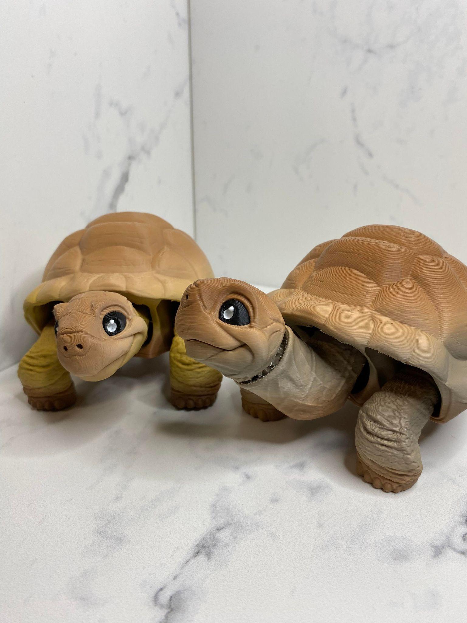 3D Printed Articulating Tortoise