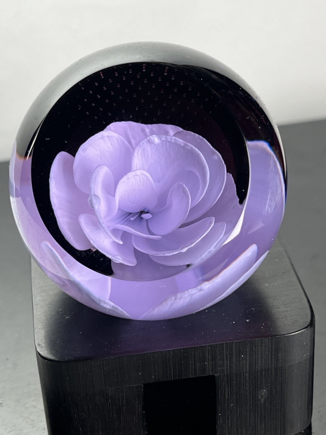 #58 - Caithness White Rose Neodymium Glass Paperweight