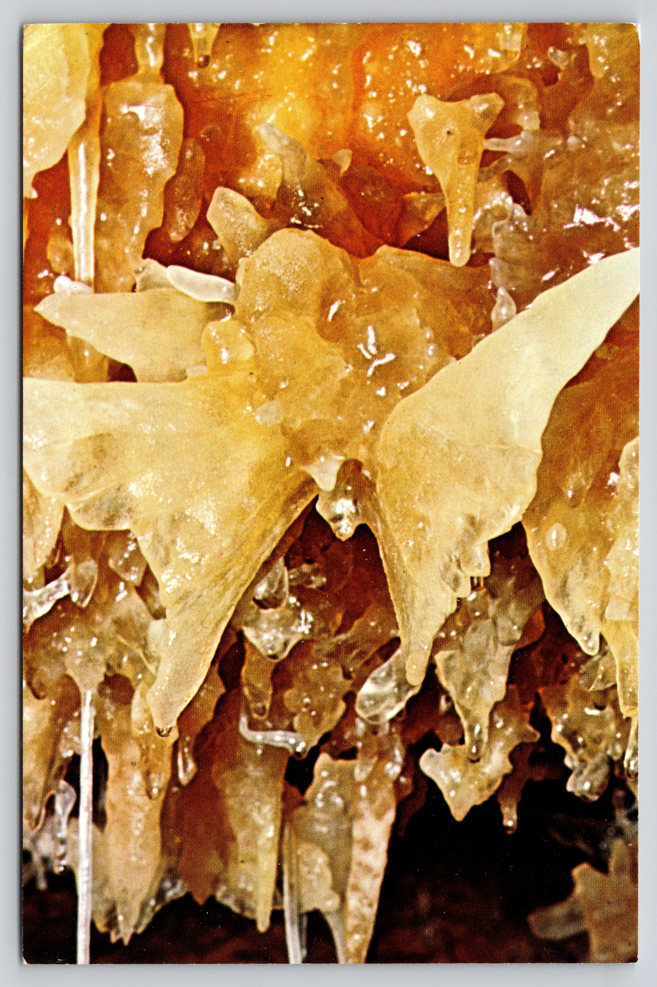 Postcard The Butterfly Room Caverns of Sonora Texas Karst Geology ...