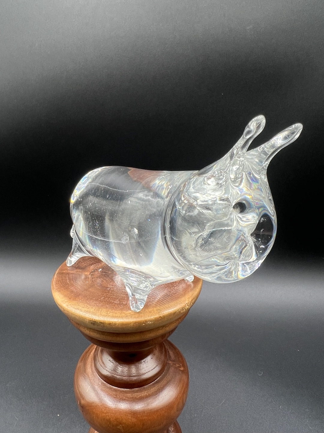 Cutest Quiggledorp from Planet Venoria With a Sploot Tail & Best Friend ...