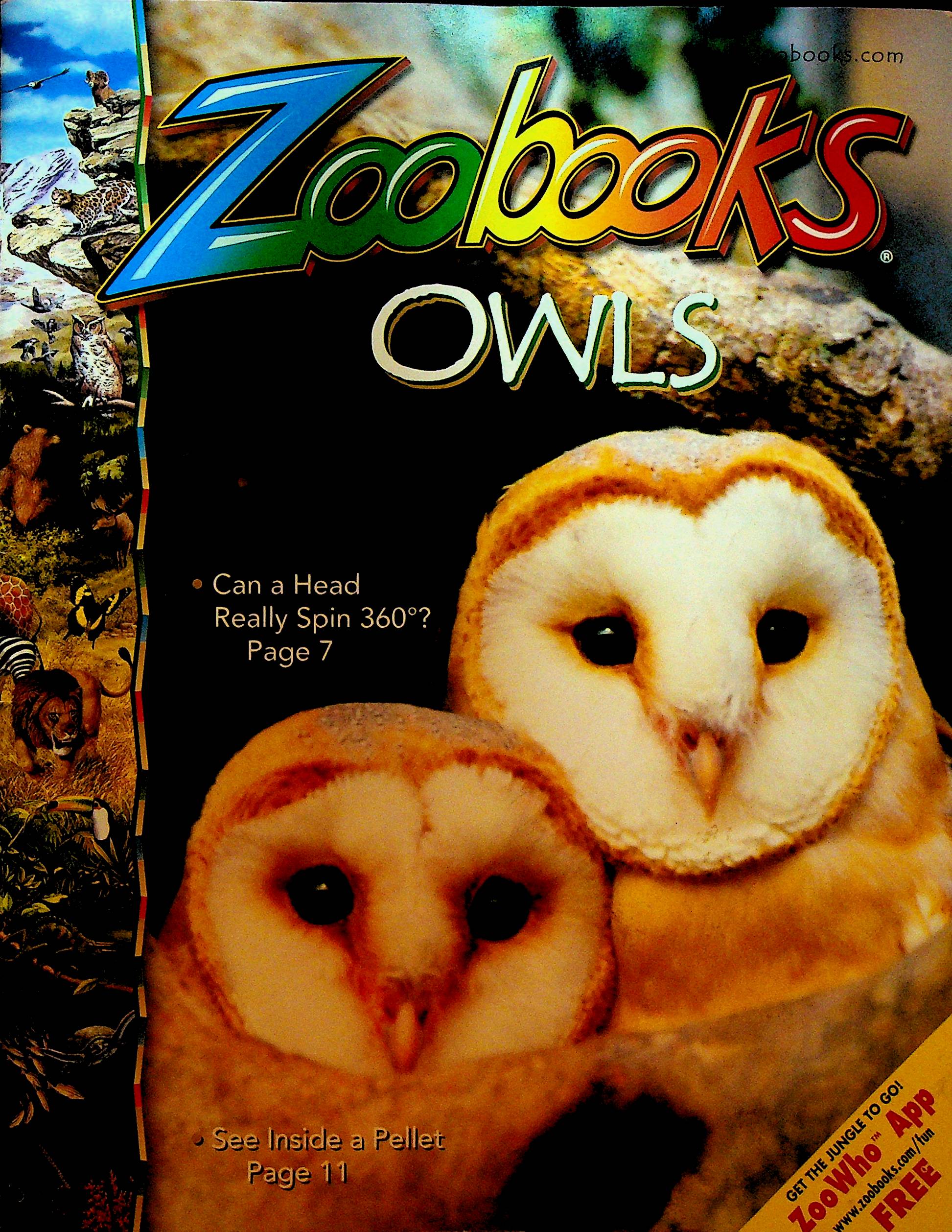 Zoobooks Owls Magazine