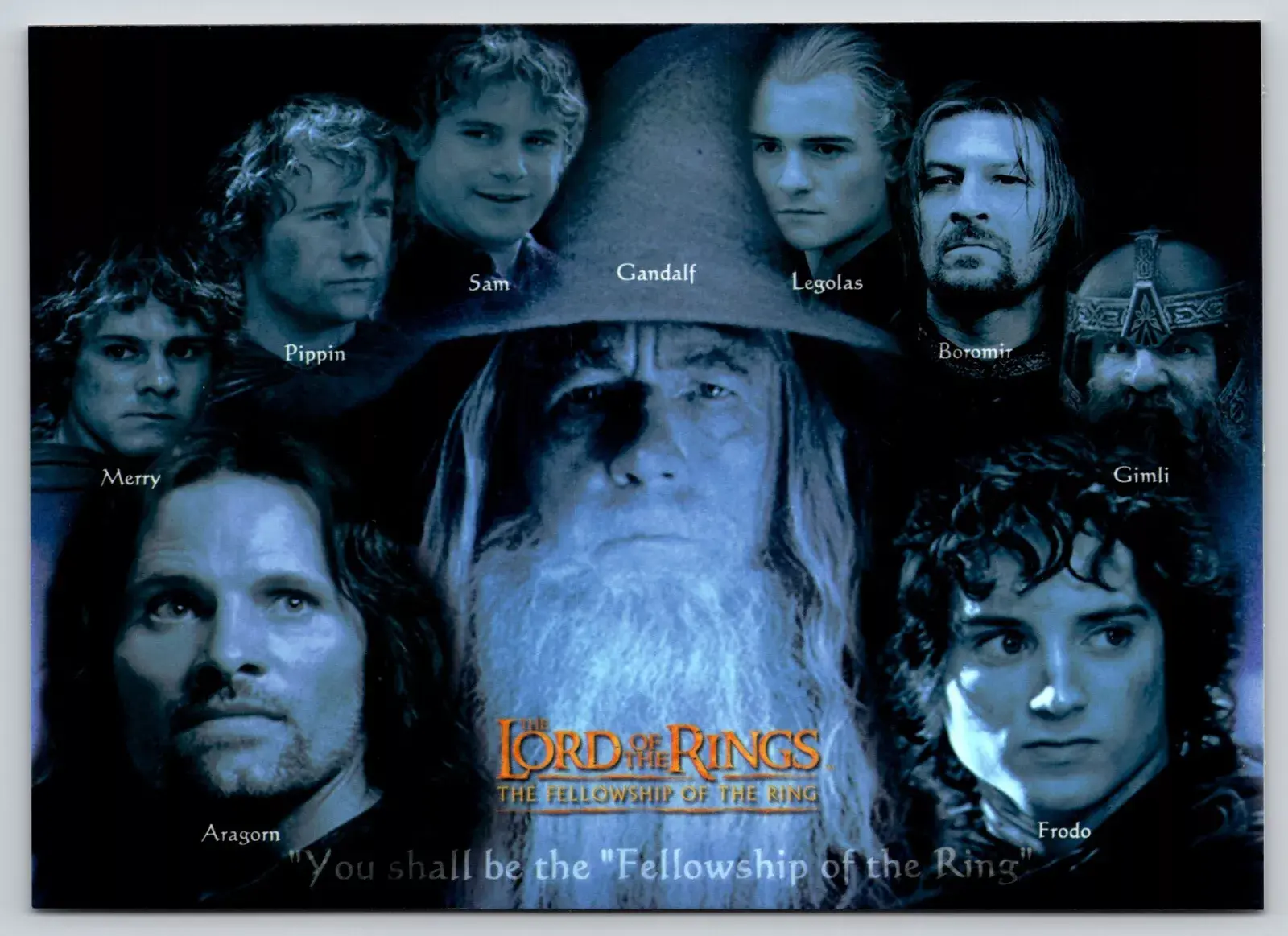 Postcard Lord of the Rings Fellowship of the Ring Characters Middle ...