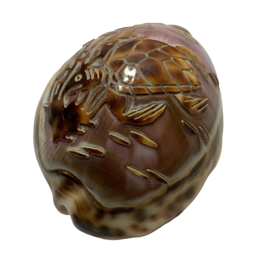 #1 - Vintage Handcrafted Carved Natural Cowrie Shell - Turtle Design