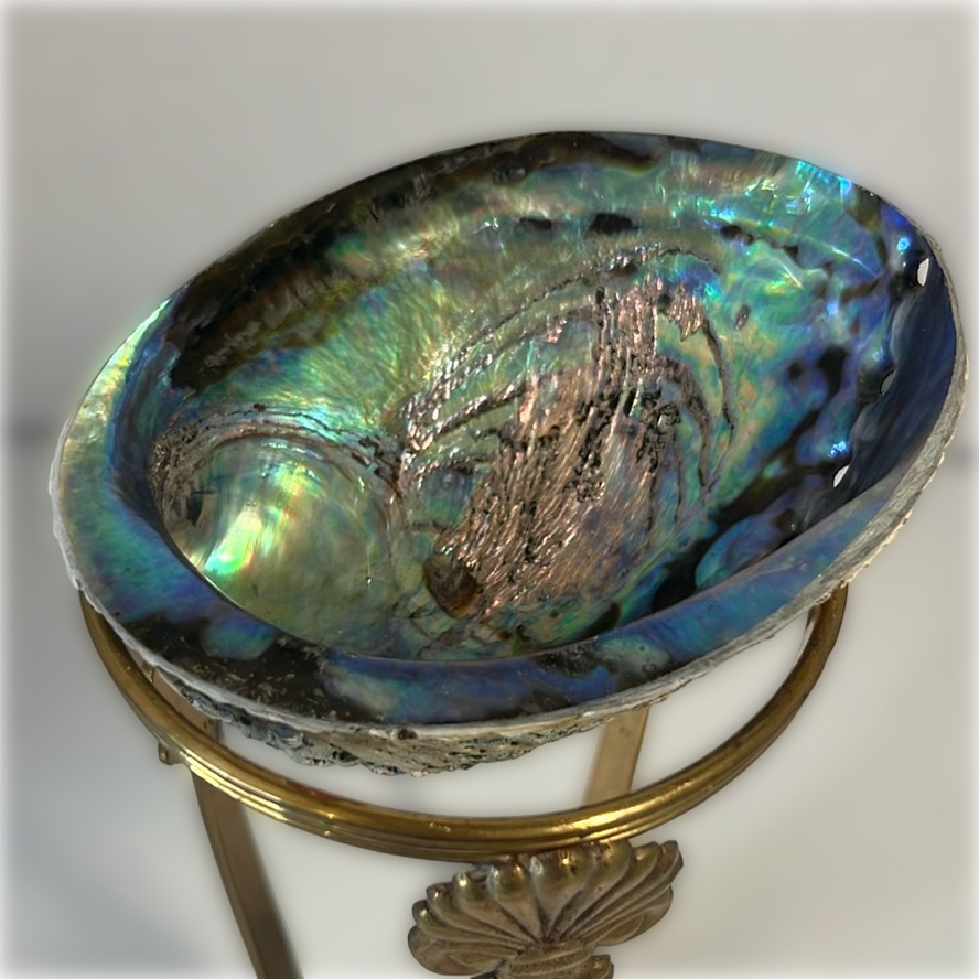 Paua Abalone Shell