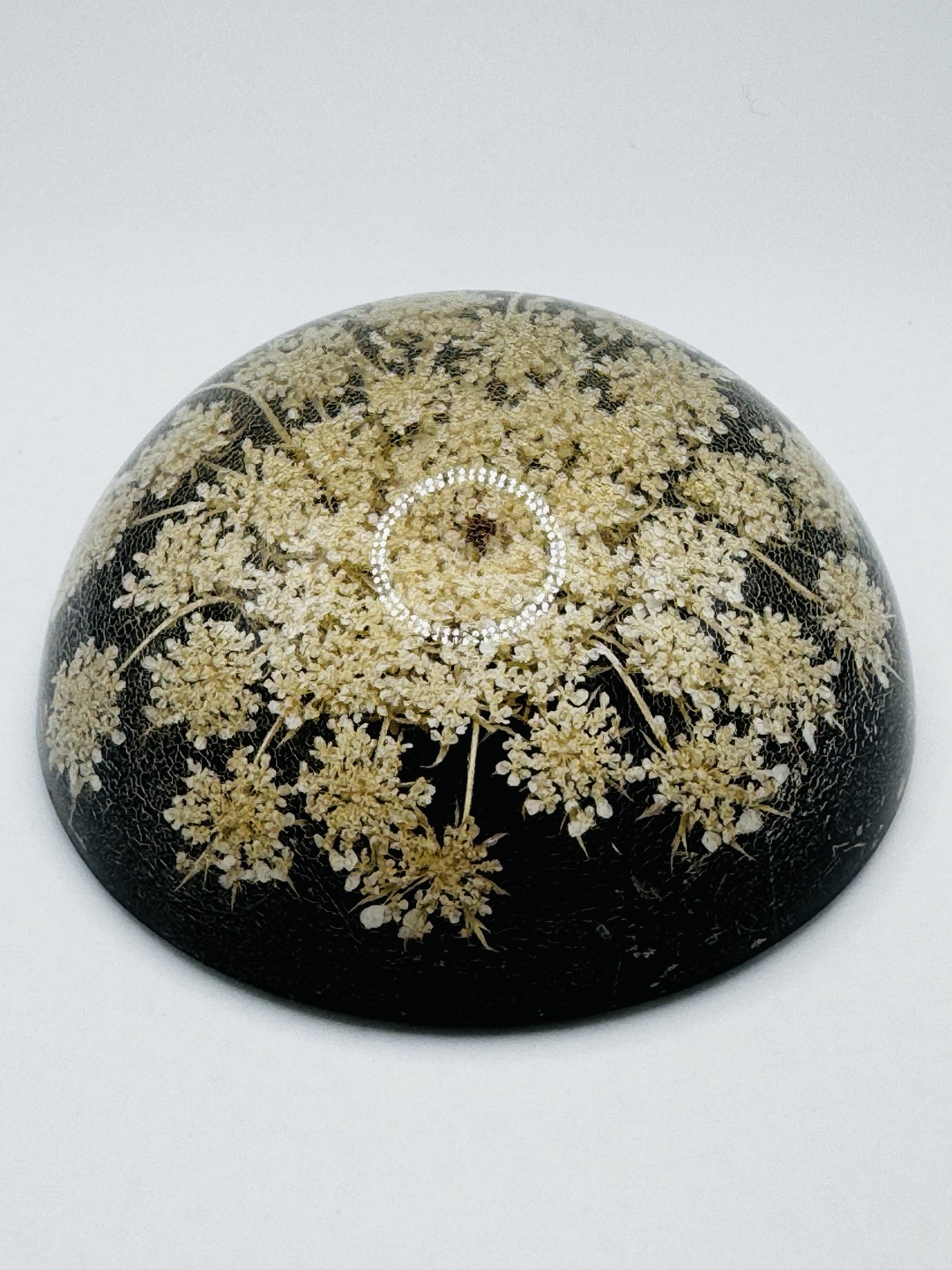 029 Signed W.Rolfe Lucite Paperweight Queen Anne's Lace 1 1/4 X 3 3/4"