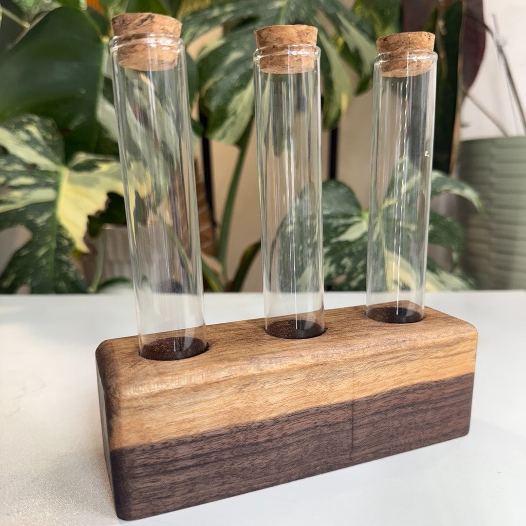 WAL1 - Wooden Propagation Station - Walnut 6”