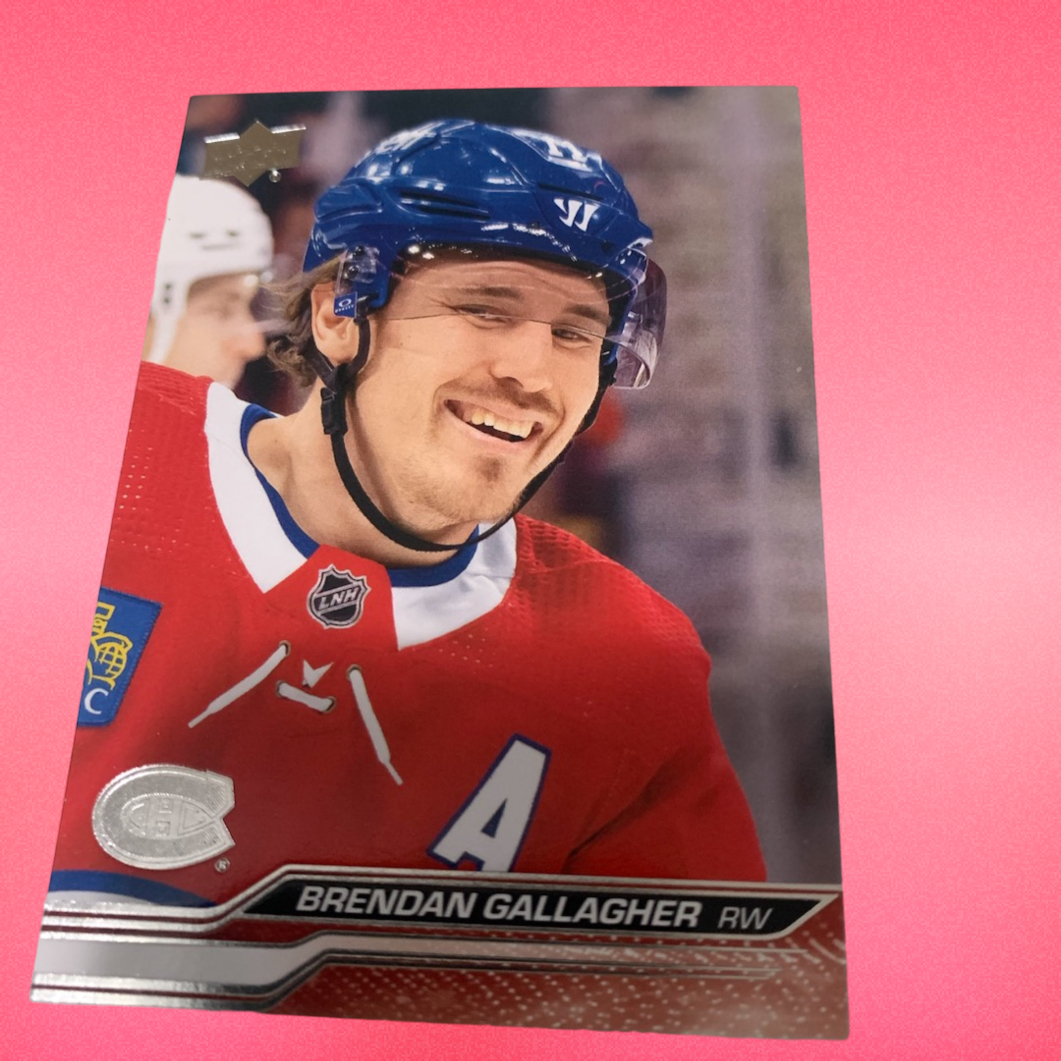 Brendan Gallagher #348
