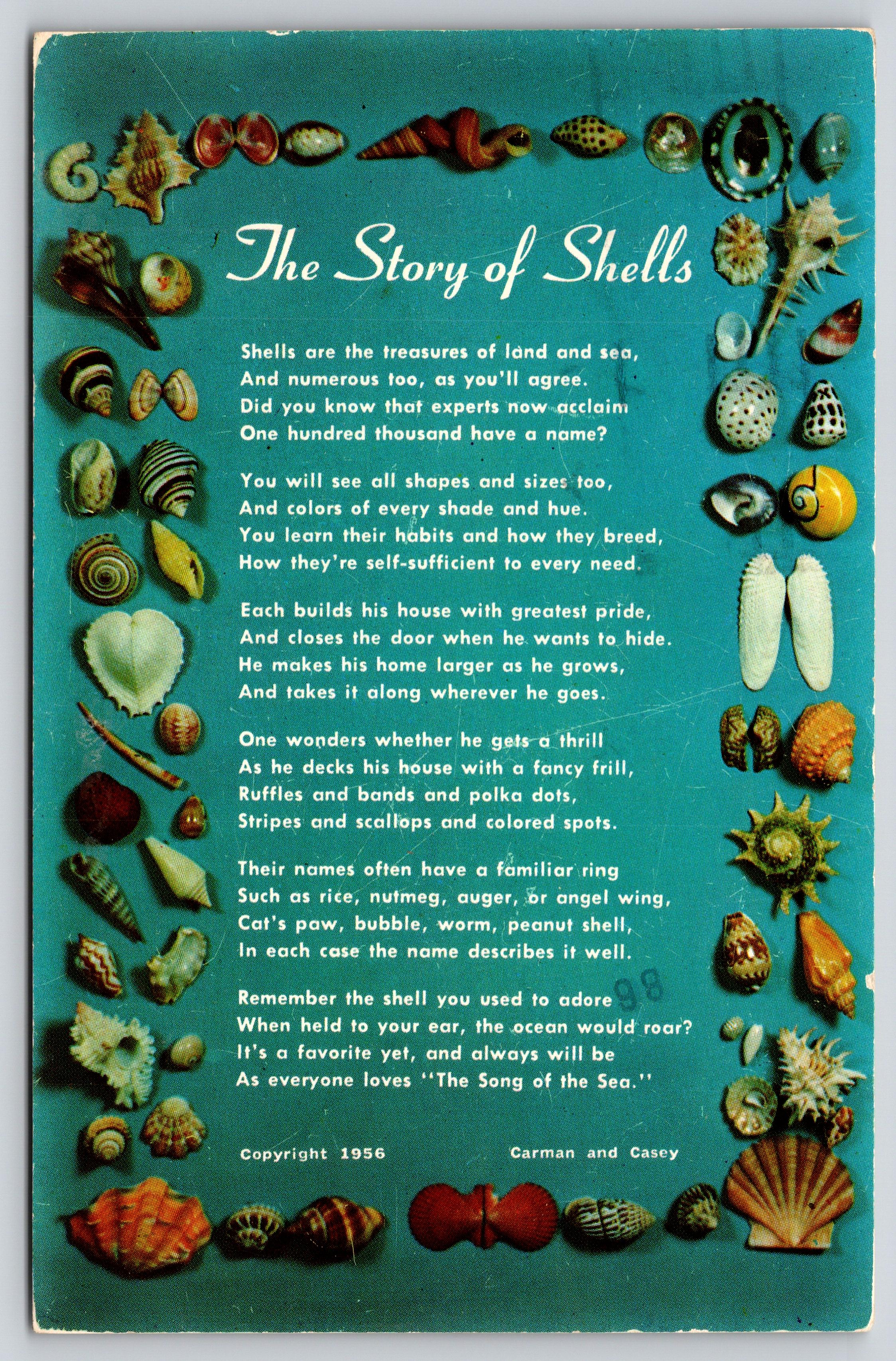 Postcard The Story of Shells Mollusks Gastropods Seashell - 12636