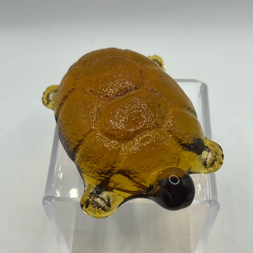 Pilgrim Glass Turtle